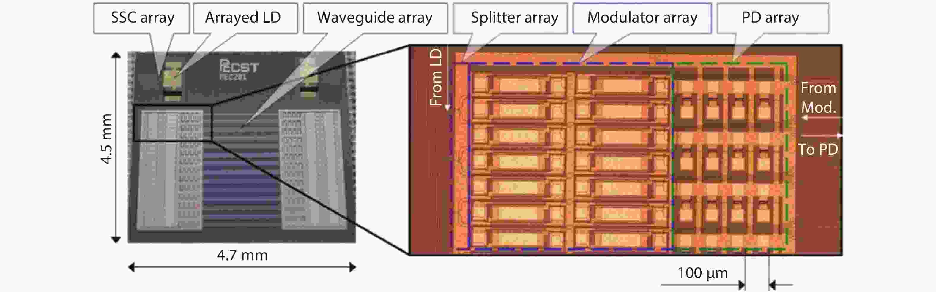 Silicon photonic transceivers for application in data centers