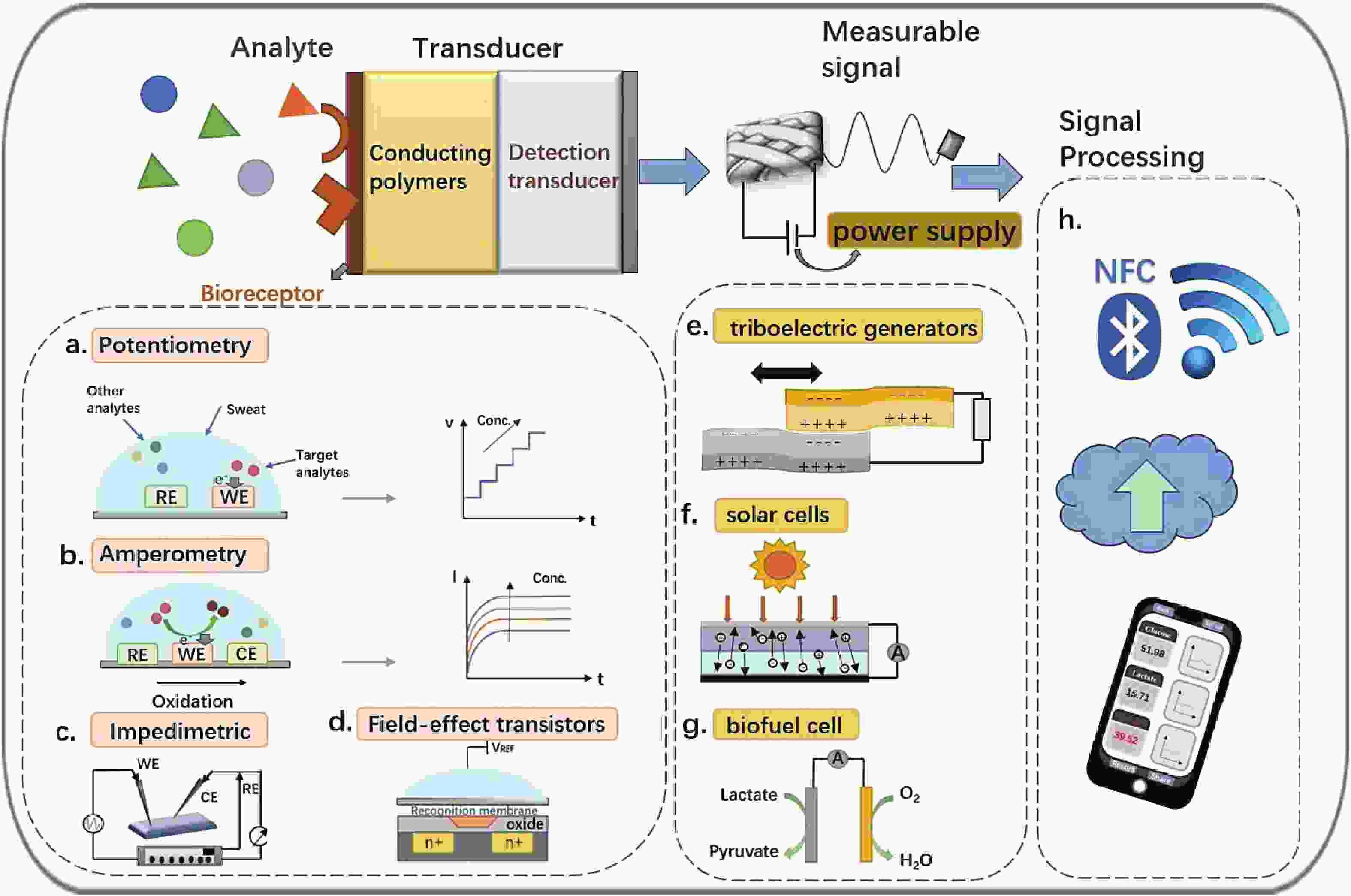 Wearable Sweat Biosensors On Textiles For Health Monitoring