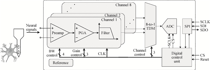A multi-channel fully differential programmable integrated circuit for neural recording application