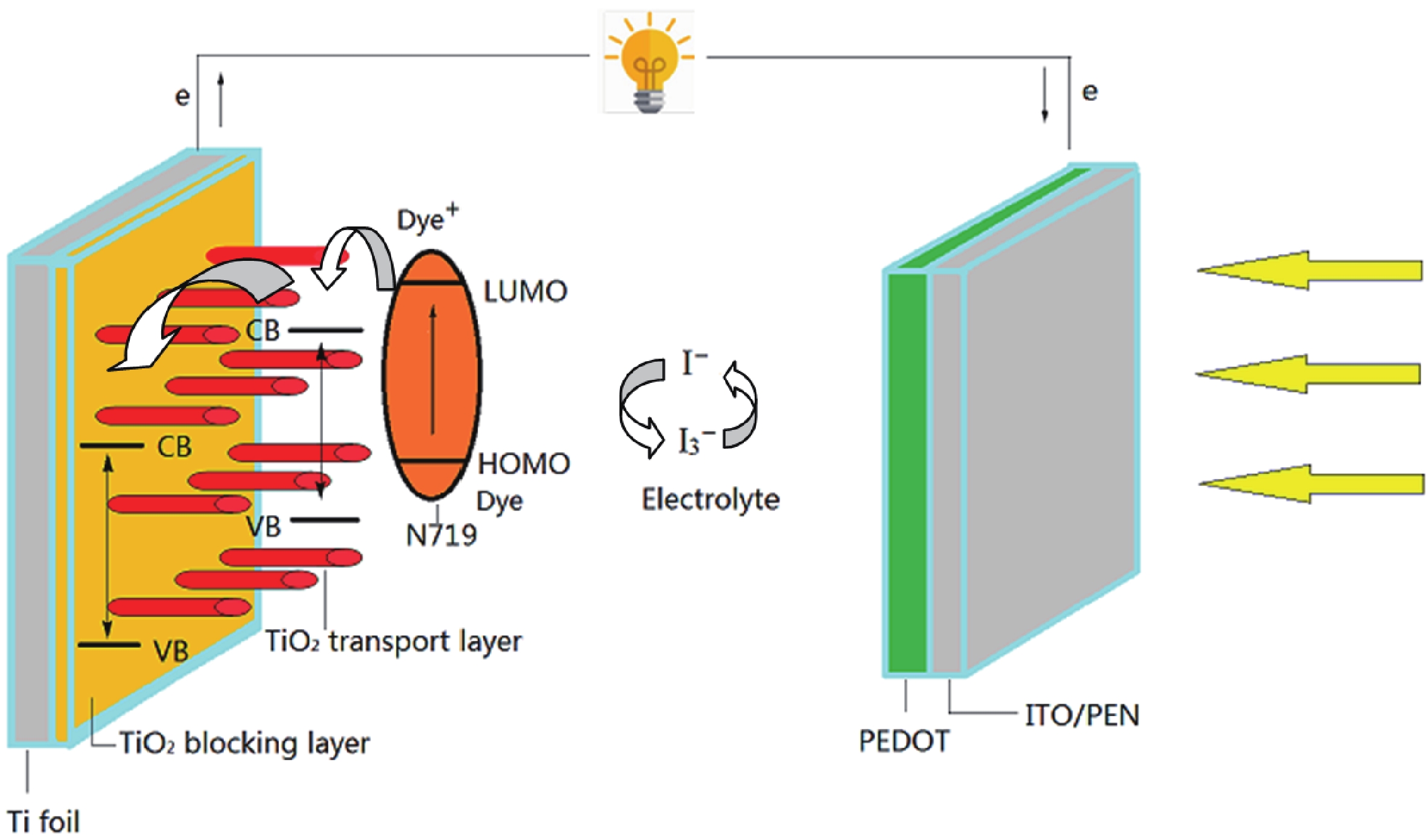 Efficient flexible dye-sensitized solar cells from rear illumination based on different ...