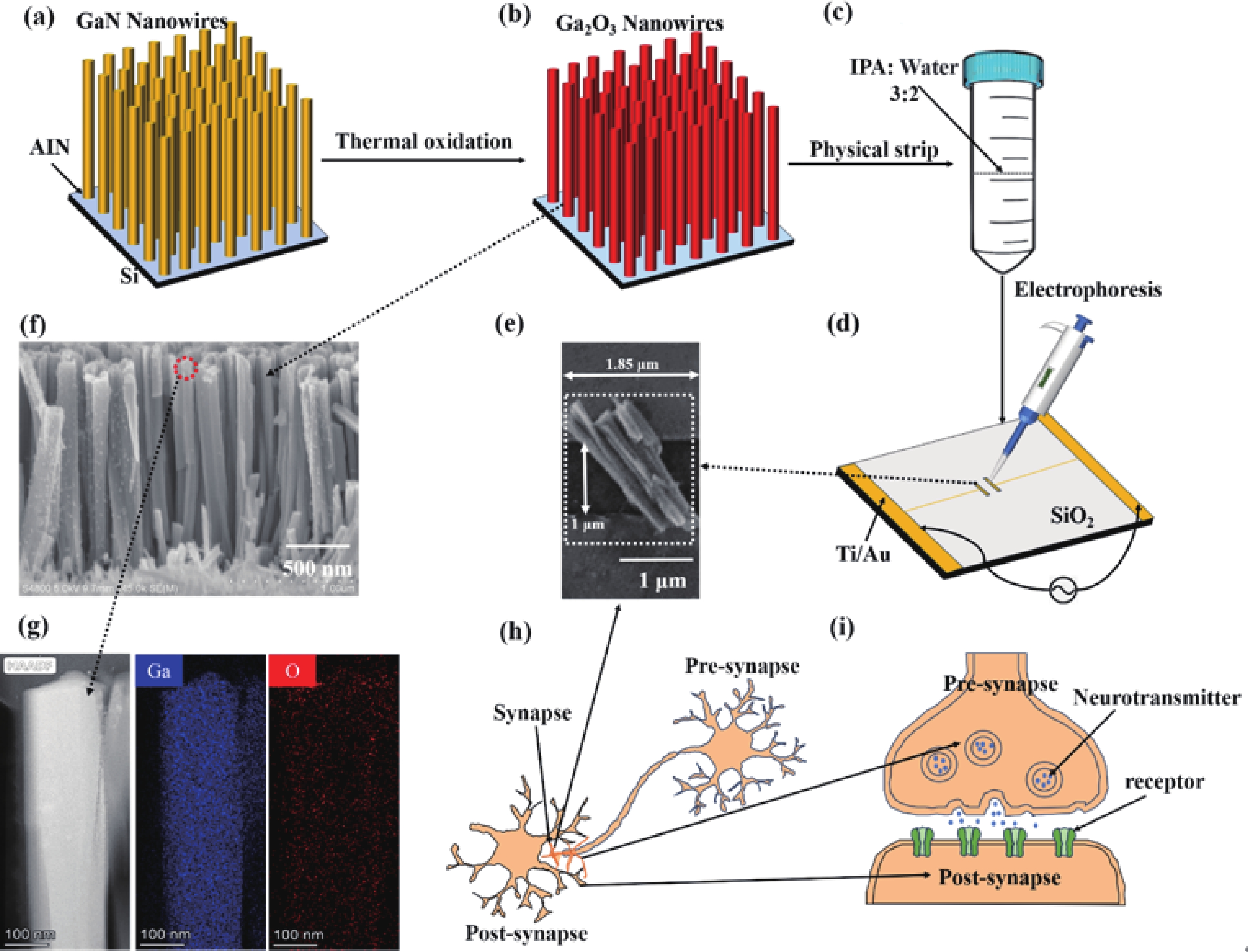 Deep-UV-photo-excited synaptic Ga 2 O 3 nano-device with low-energy consumption for neuromorphic ...