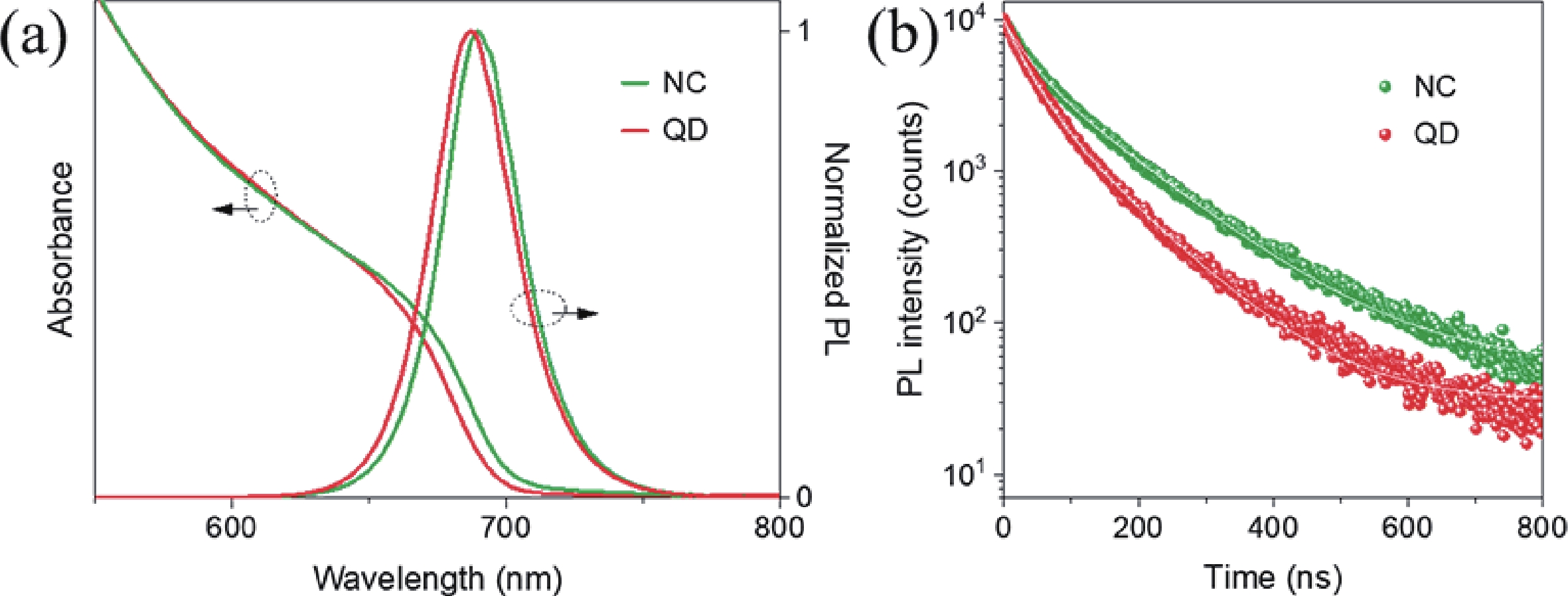 Size matters: quantum confinement-driven dynamics in CsPbI 3 quantum dot light-emitting diodes