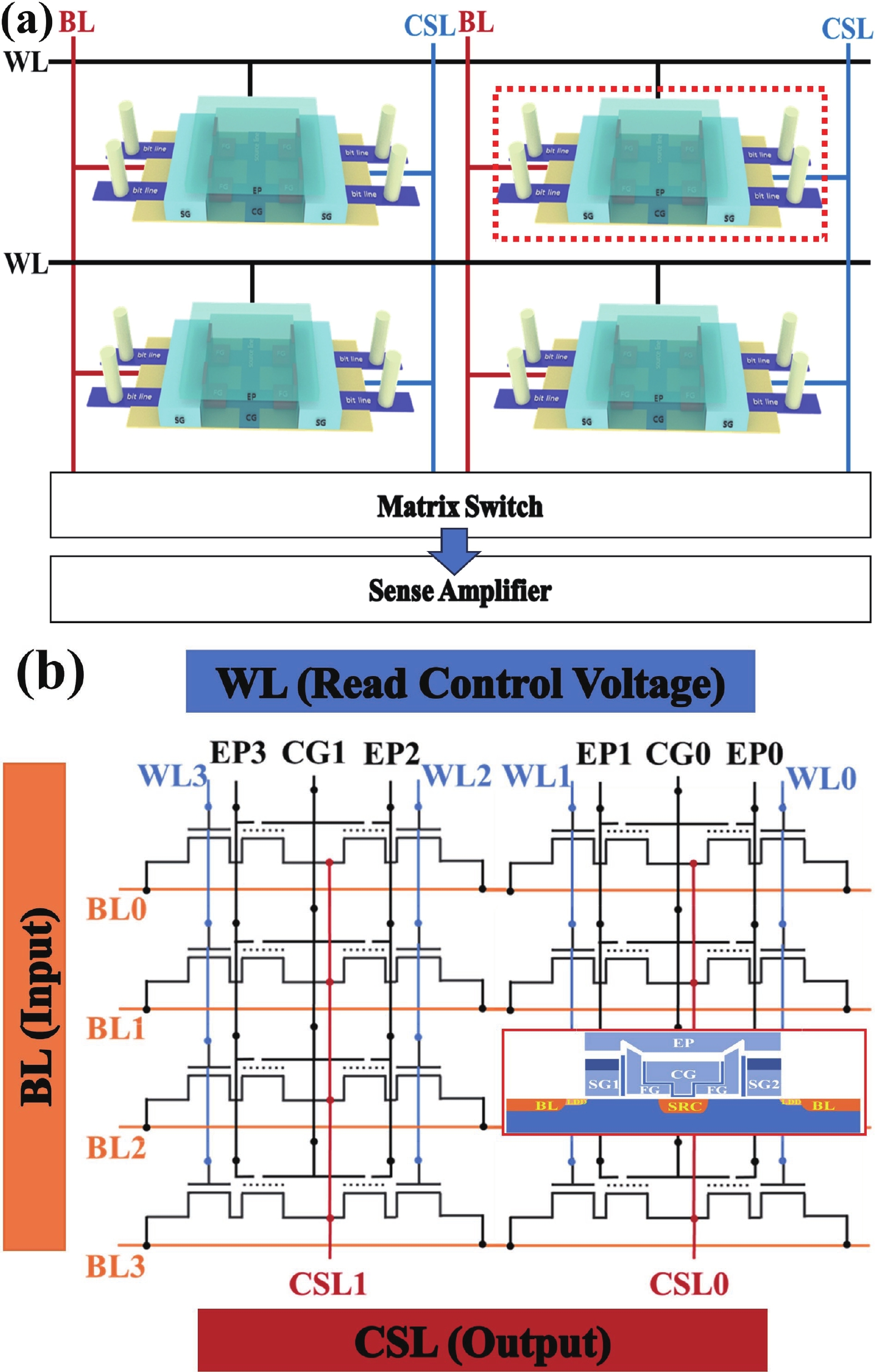 Optimizing 55 nm split-gate memory for compute-in-memory: a focus on floating-gate engineering
