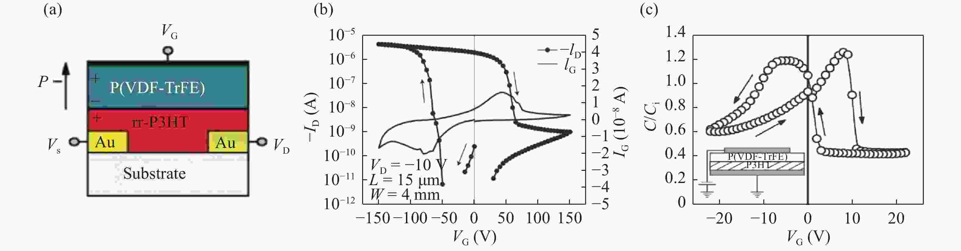 Field-effect transistor memories based on ferroelectric polymers