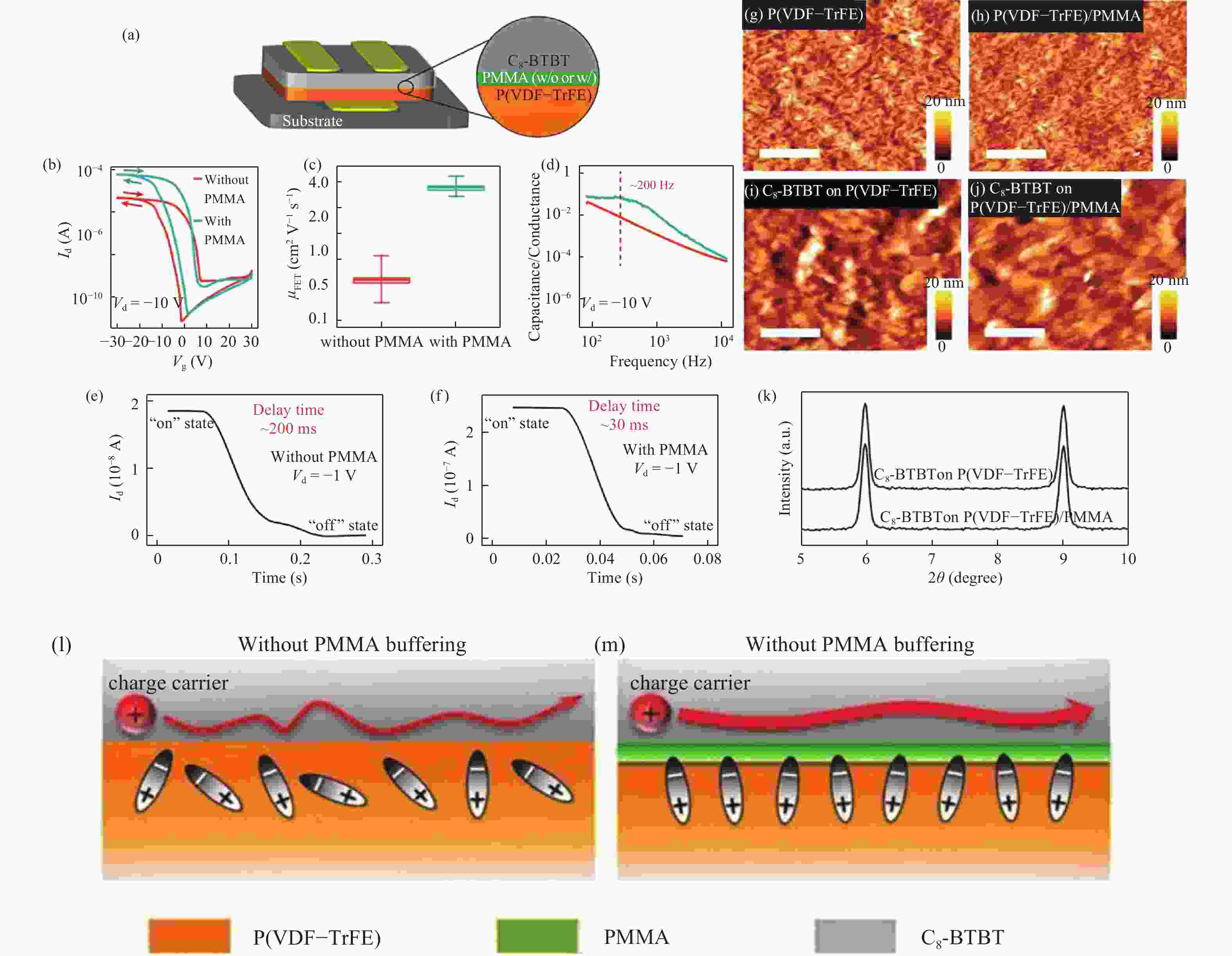 Field-effect transistor memories based on ferroelectric polymers