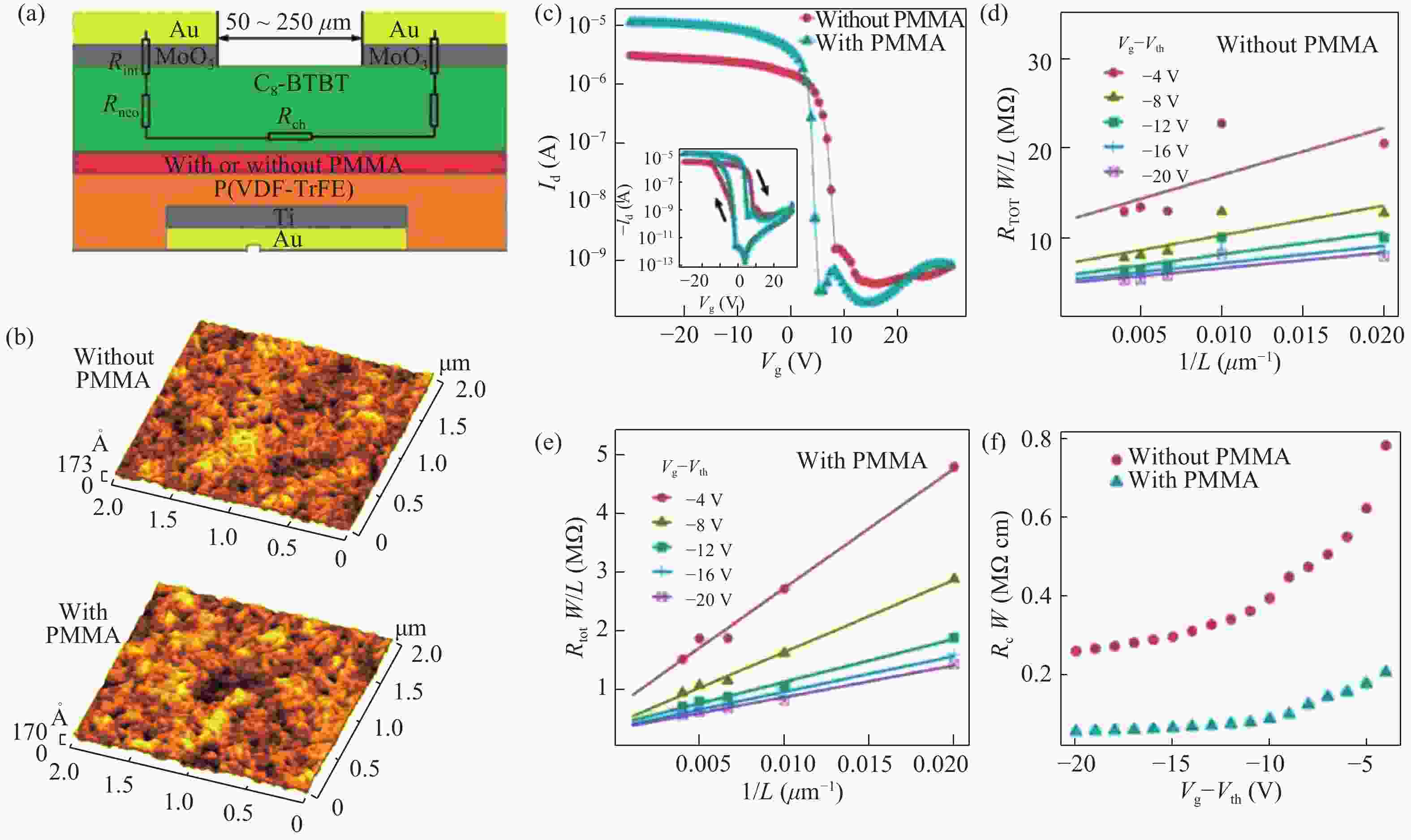Field-effect transistor memories based on ferroelectric polymers