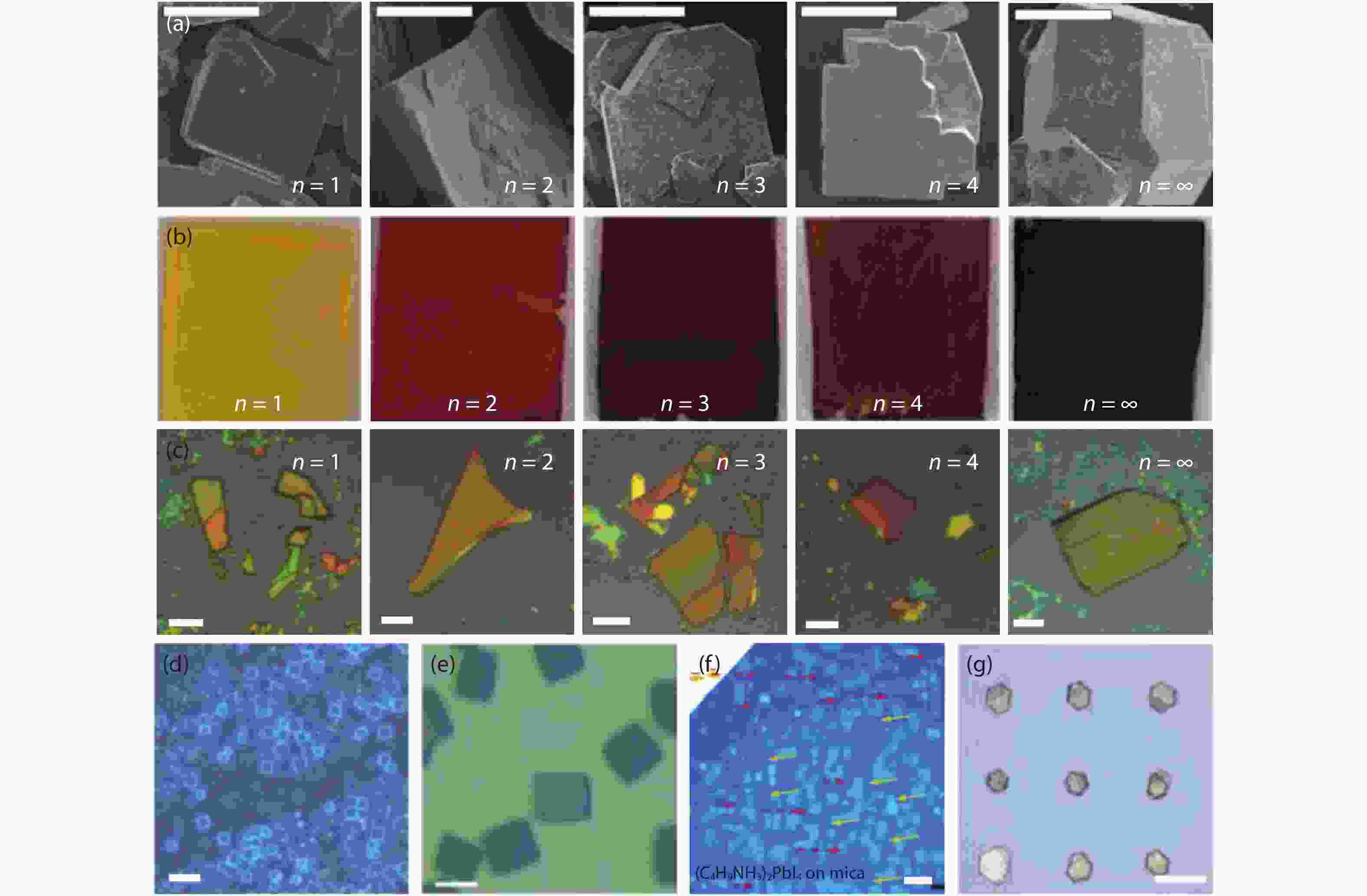 Recent progress of the optoelectronic properties of 2D Ruddlesden ...