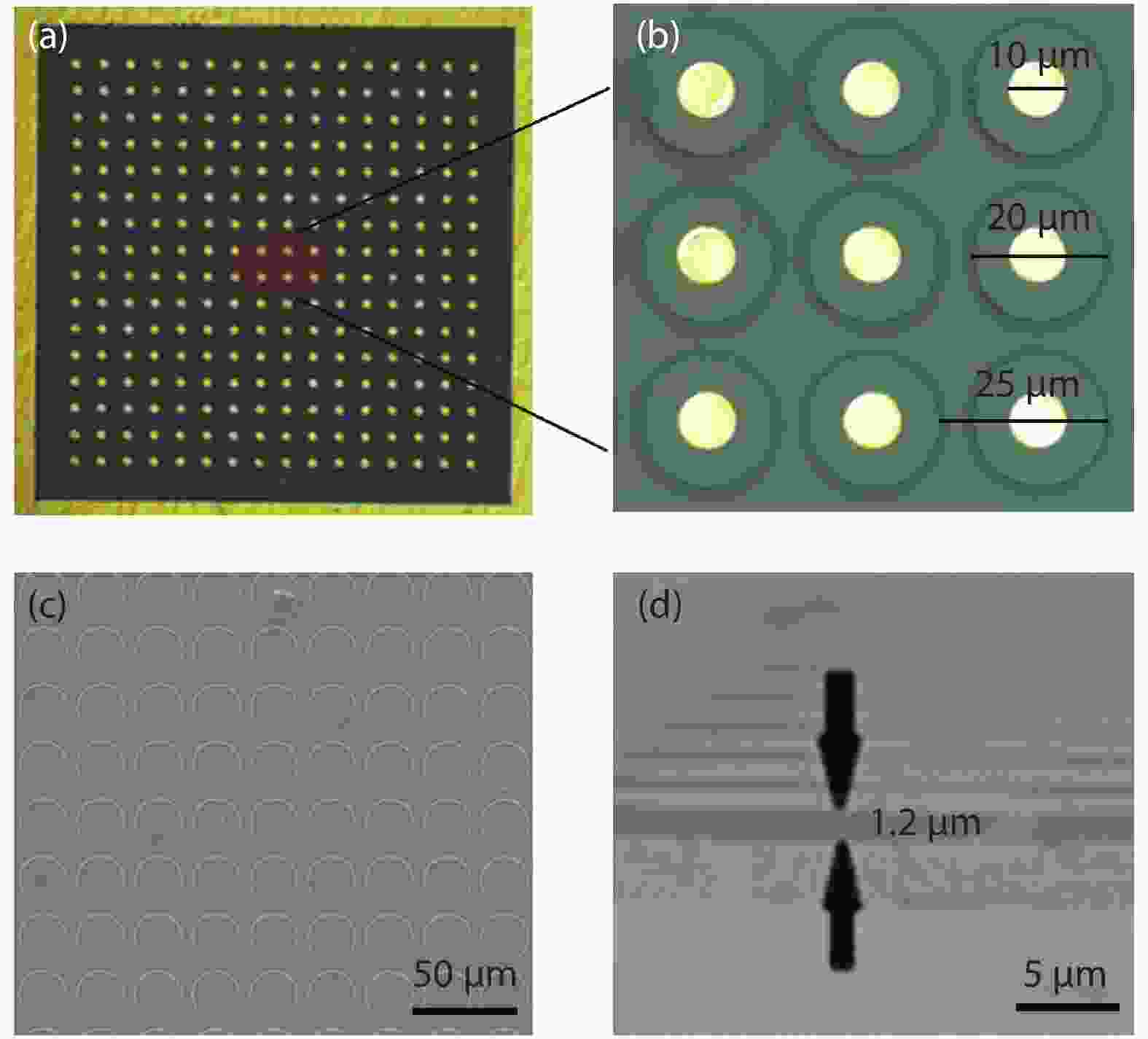 High performance GaN-based hybrid white micro-LEDs integrated with ...