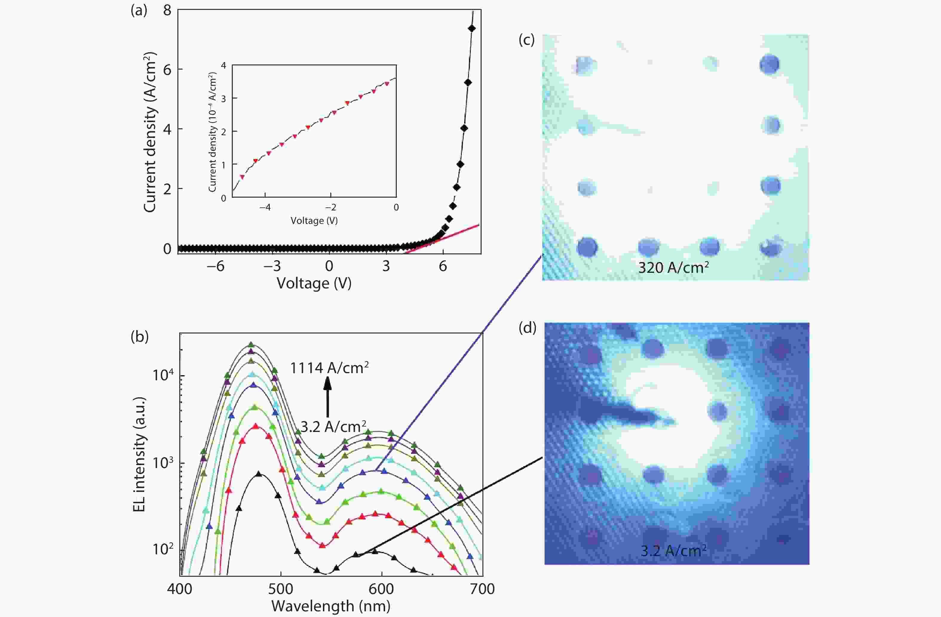 High performance GaN-based hybrid white micro-LEDs integrated with ...