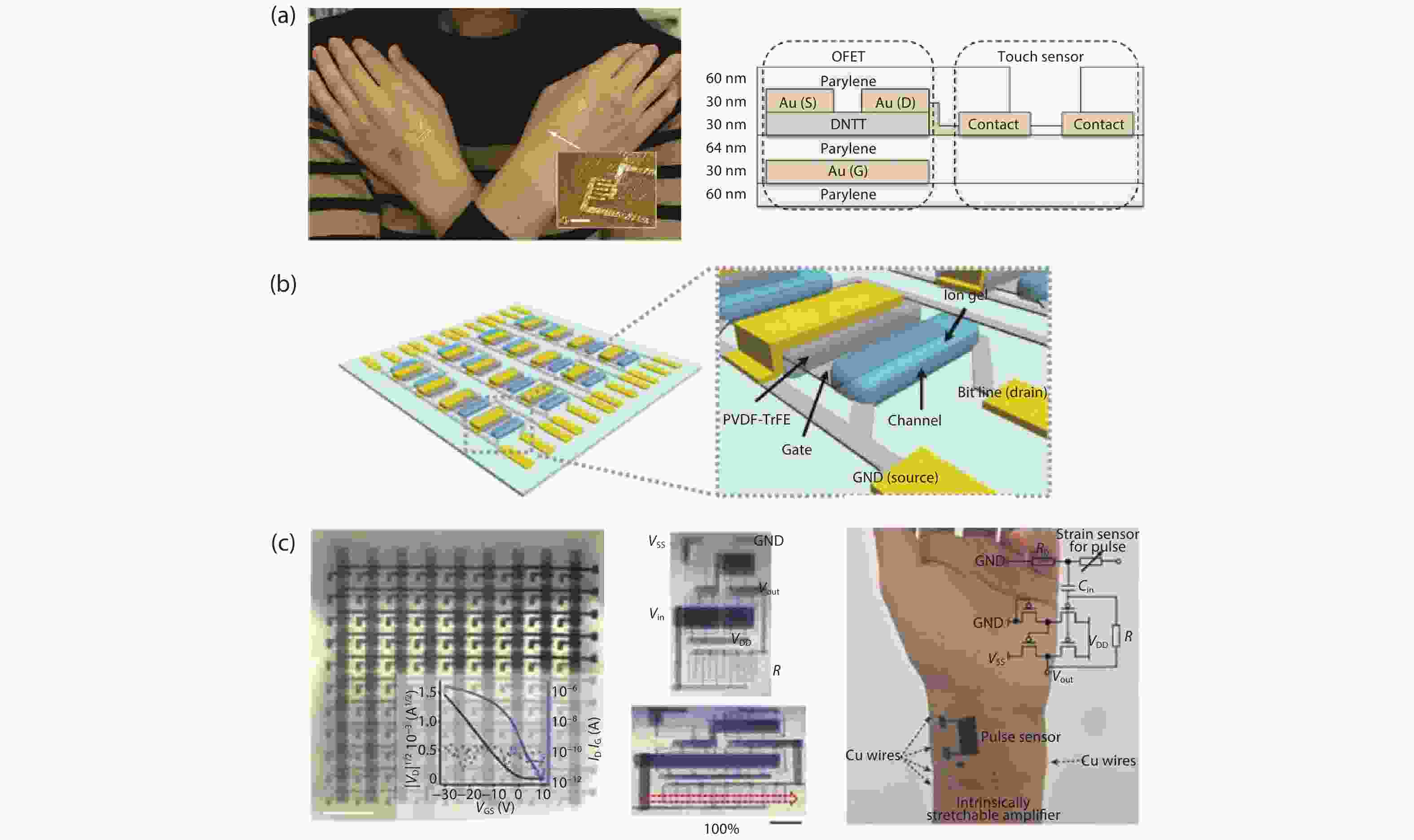Skin-inspired electronics: emerging semiconductor devices and systems