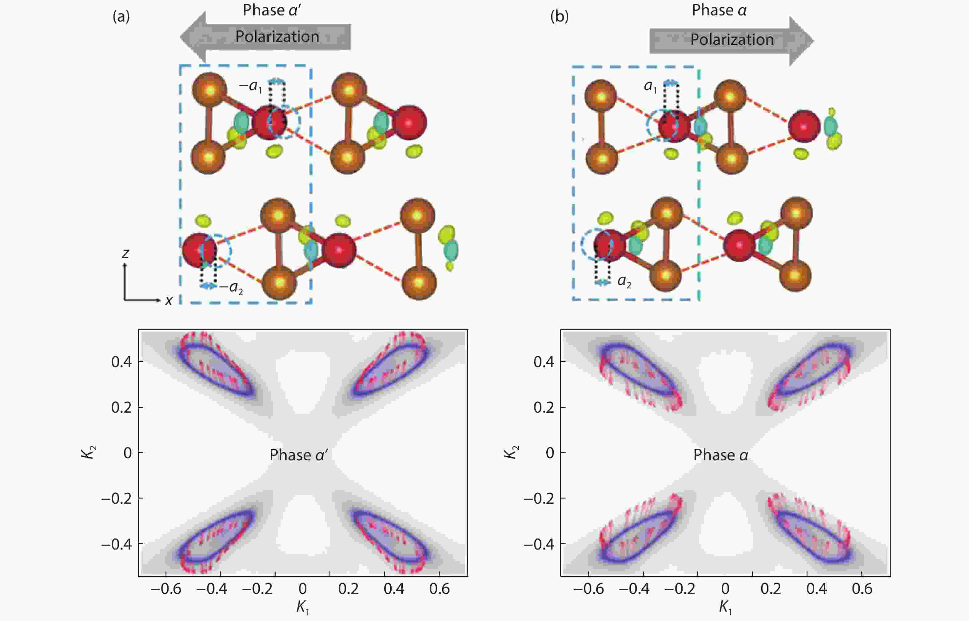 Tellurene: An elemental 2D monolayer material beyond its bulk phases ...