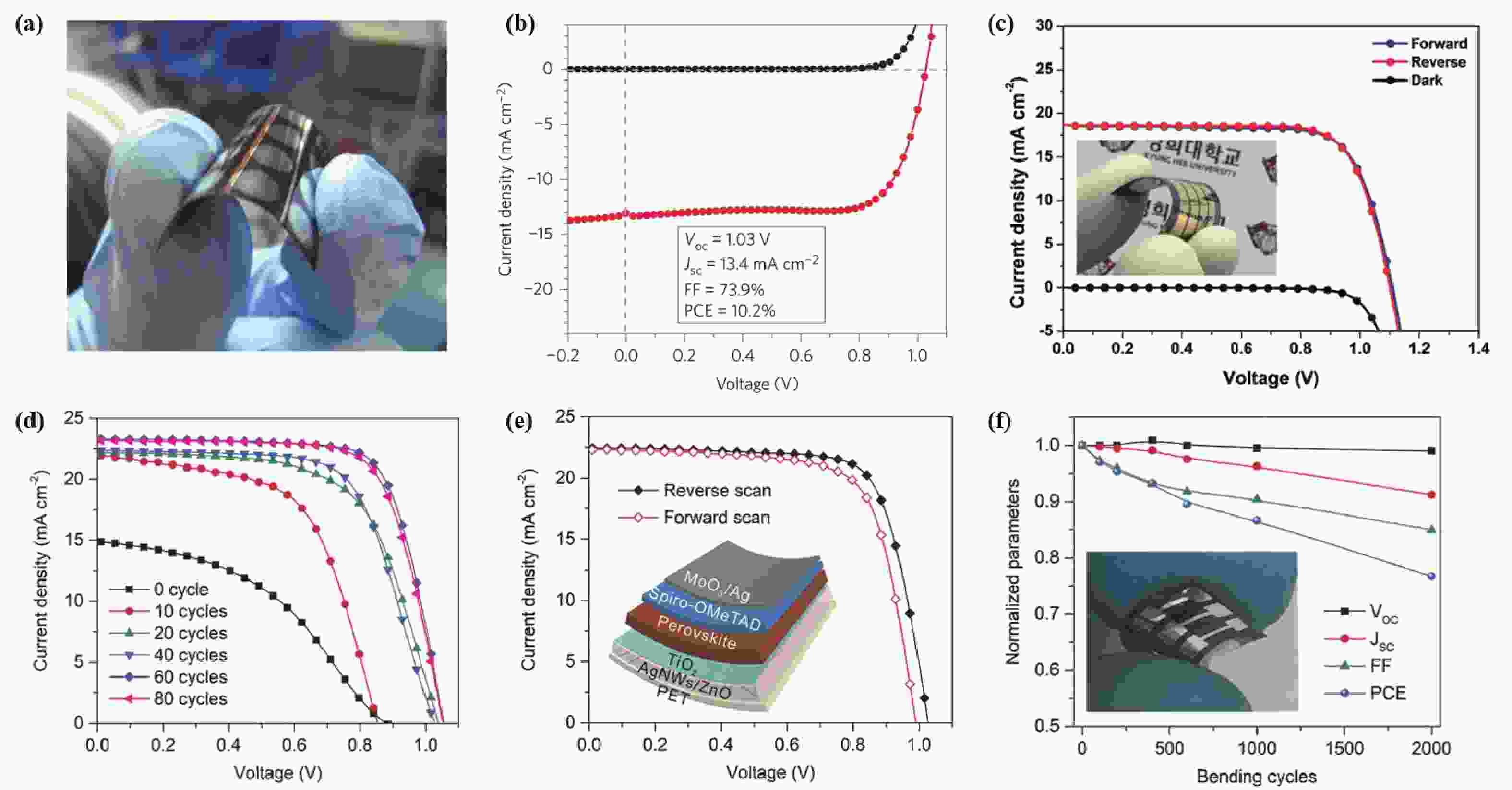 Progress in flexible perovskite solar cells with improved efficiency