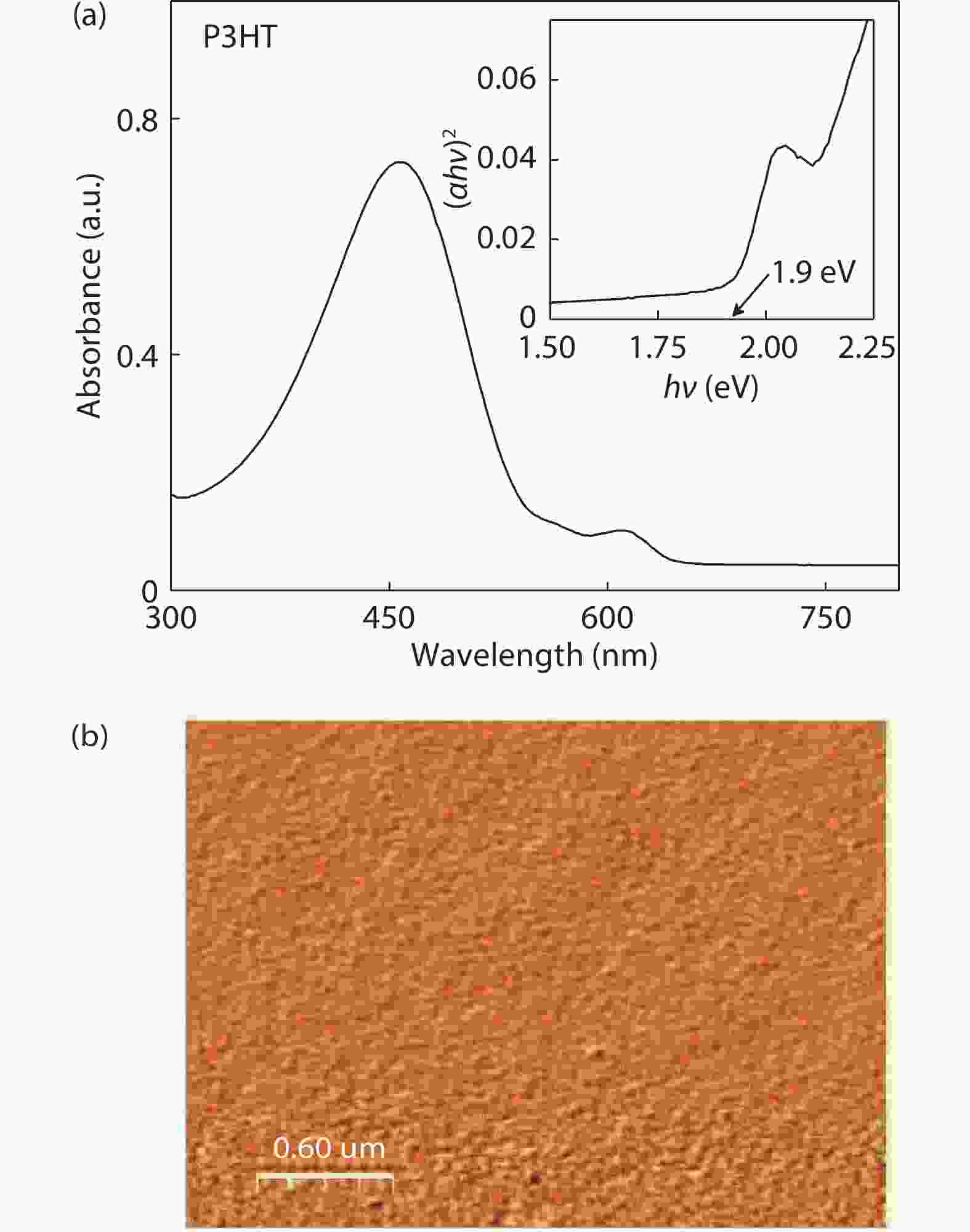 Fabrication, characterization, numerical simulation and compact ...
