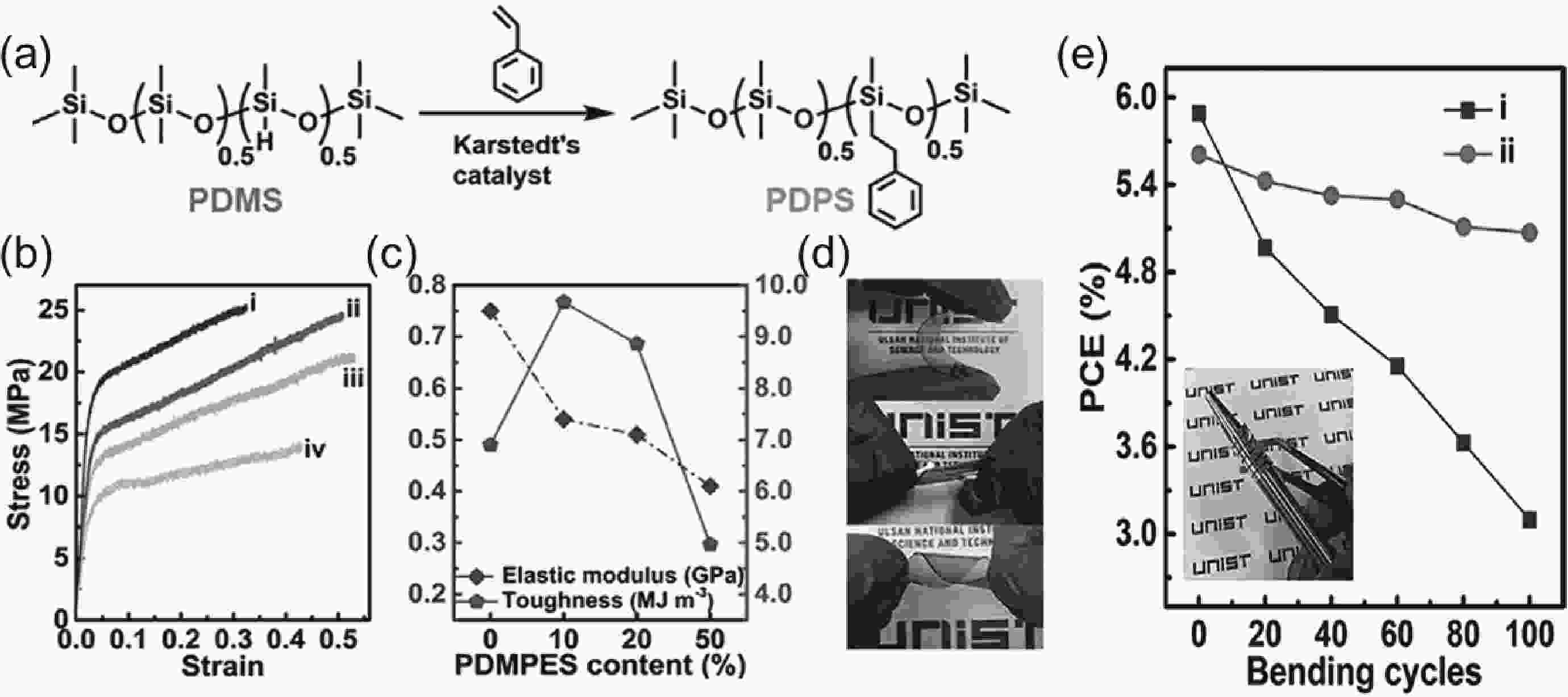 All-polymer solar cells