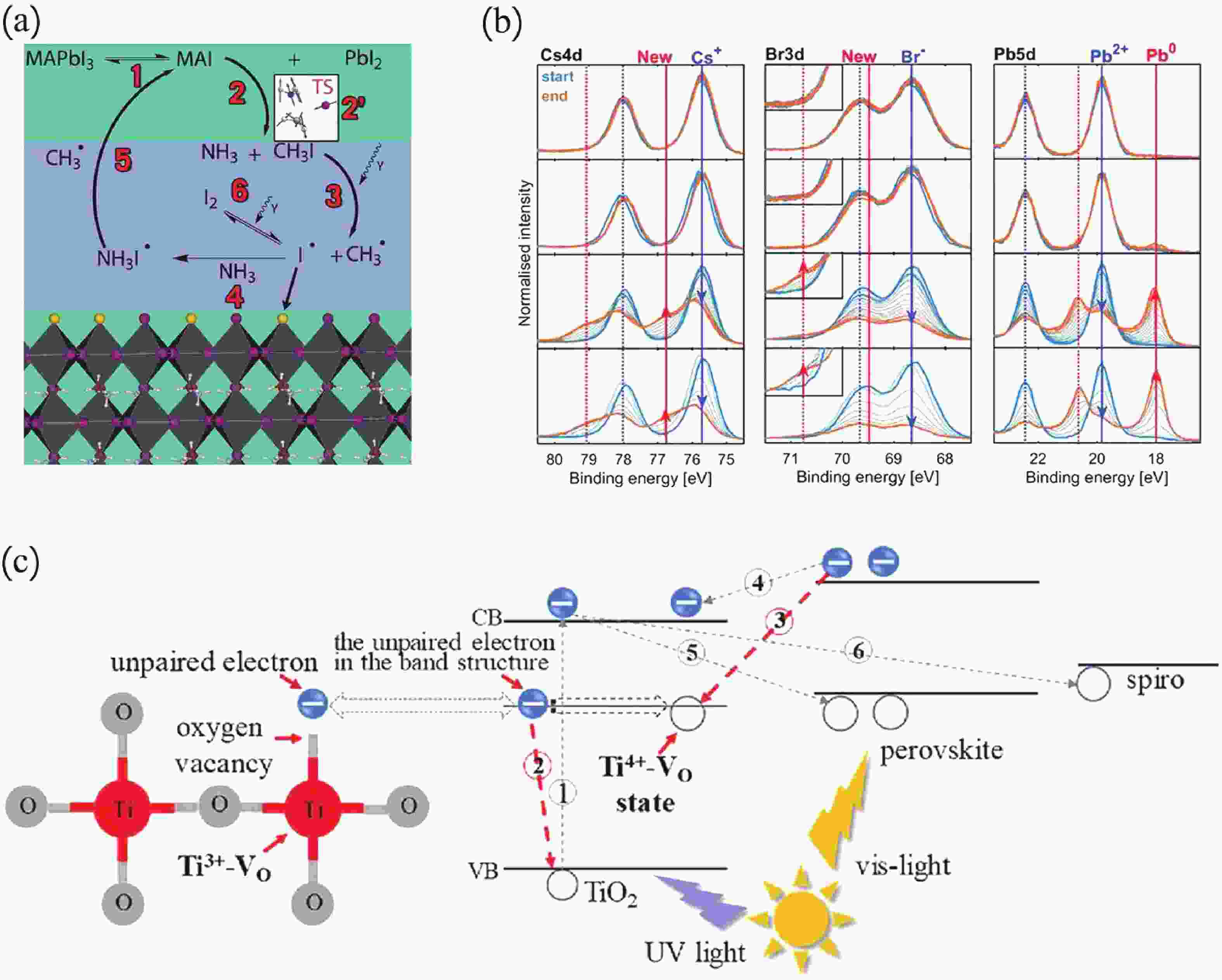 Failure pathways of perovskite solar cells in space