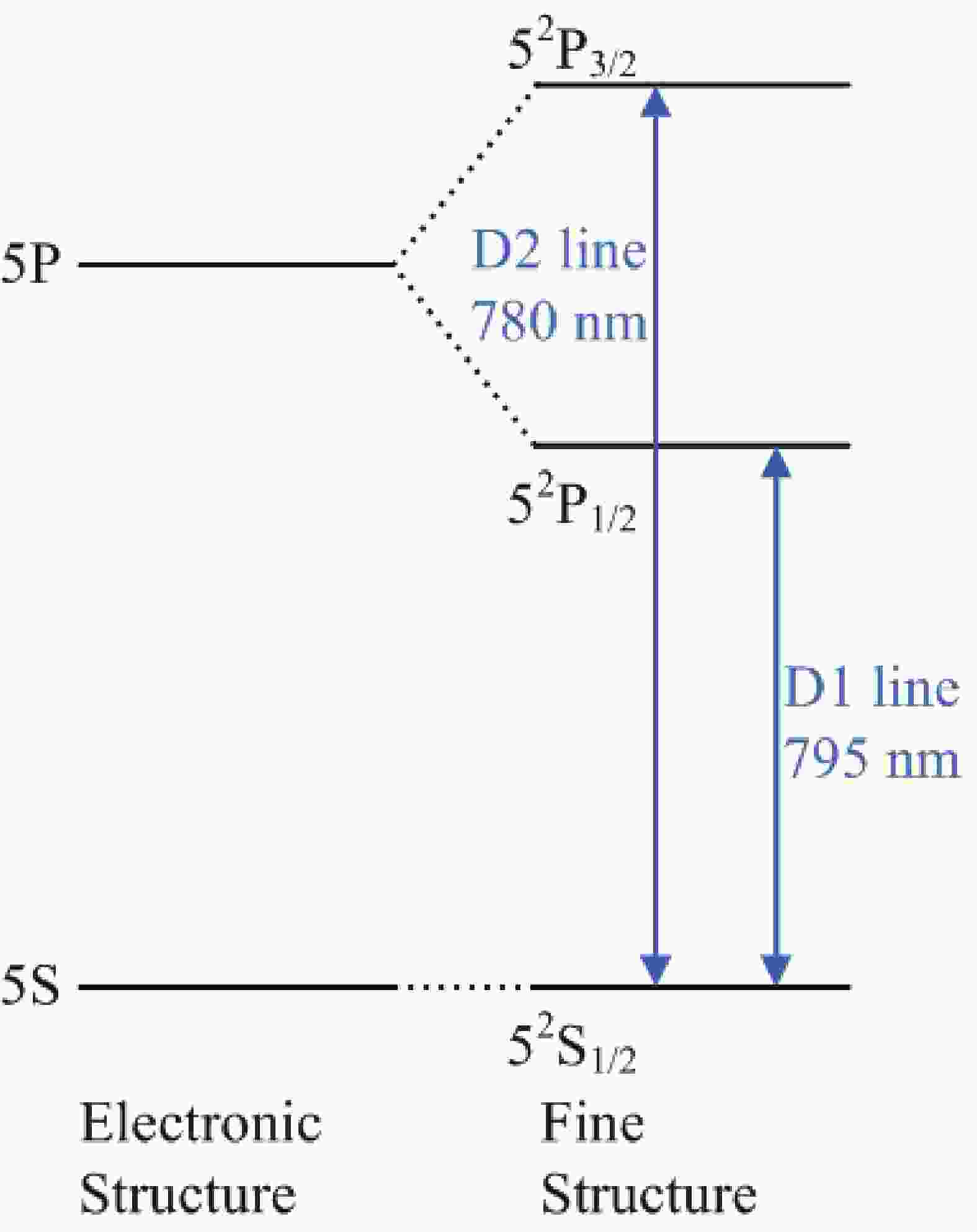 Influence of architecture and temperature of alkali atom vapor cells on ...