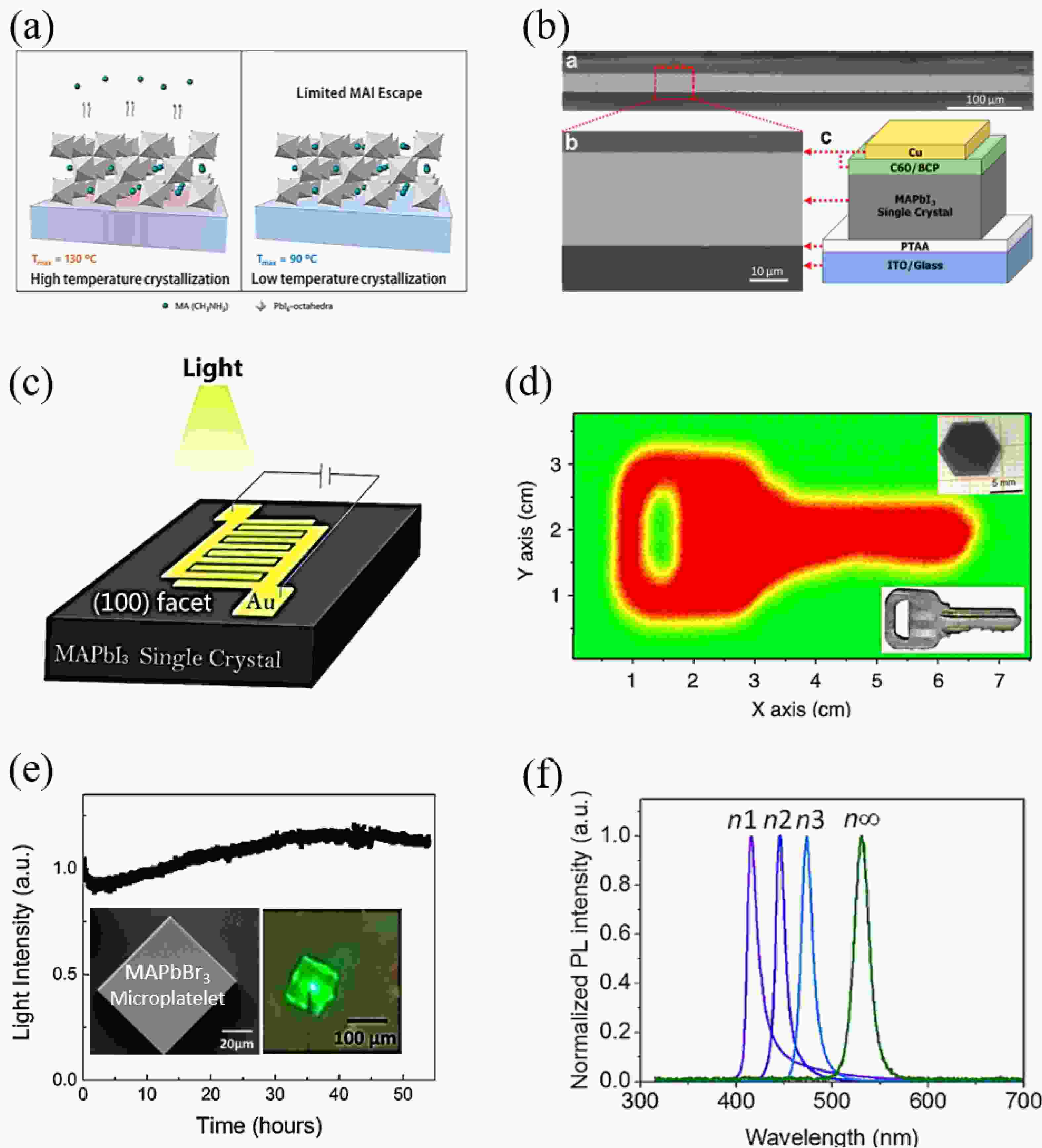 Single crystals of perovskites