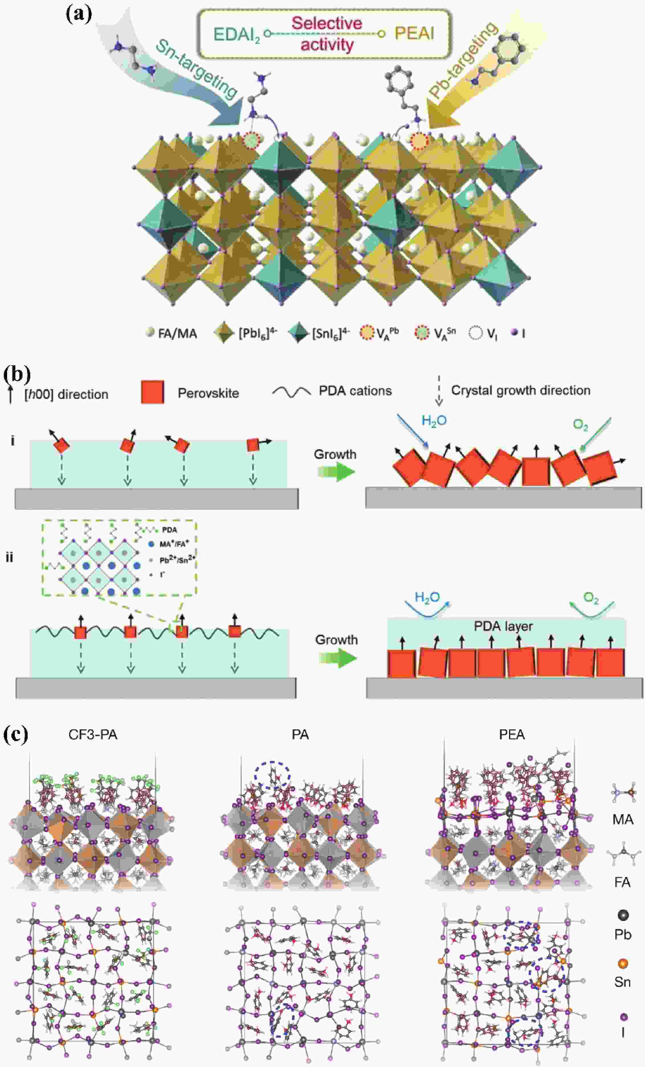 Organic ammonium halides enhance the performance of Pb–Sn perovskite ...