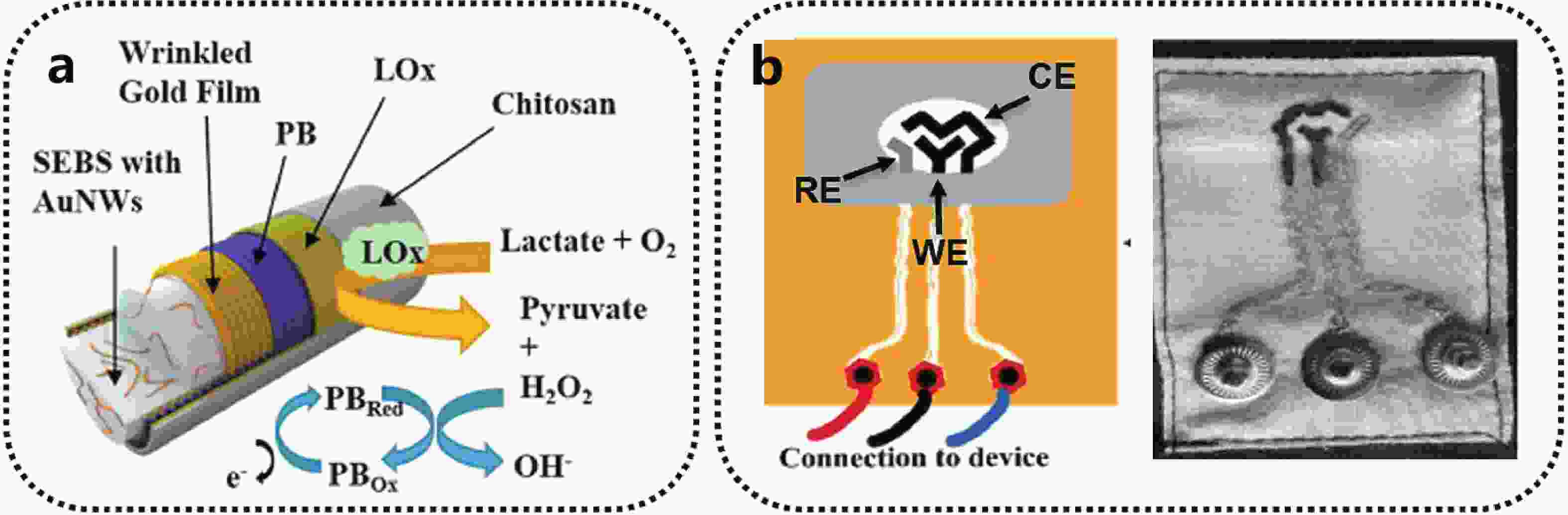 Wearable sweat biosensors on textiles for health monitoring