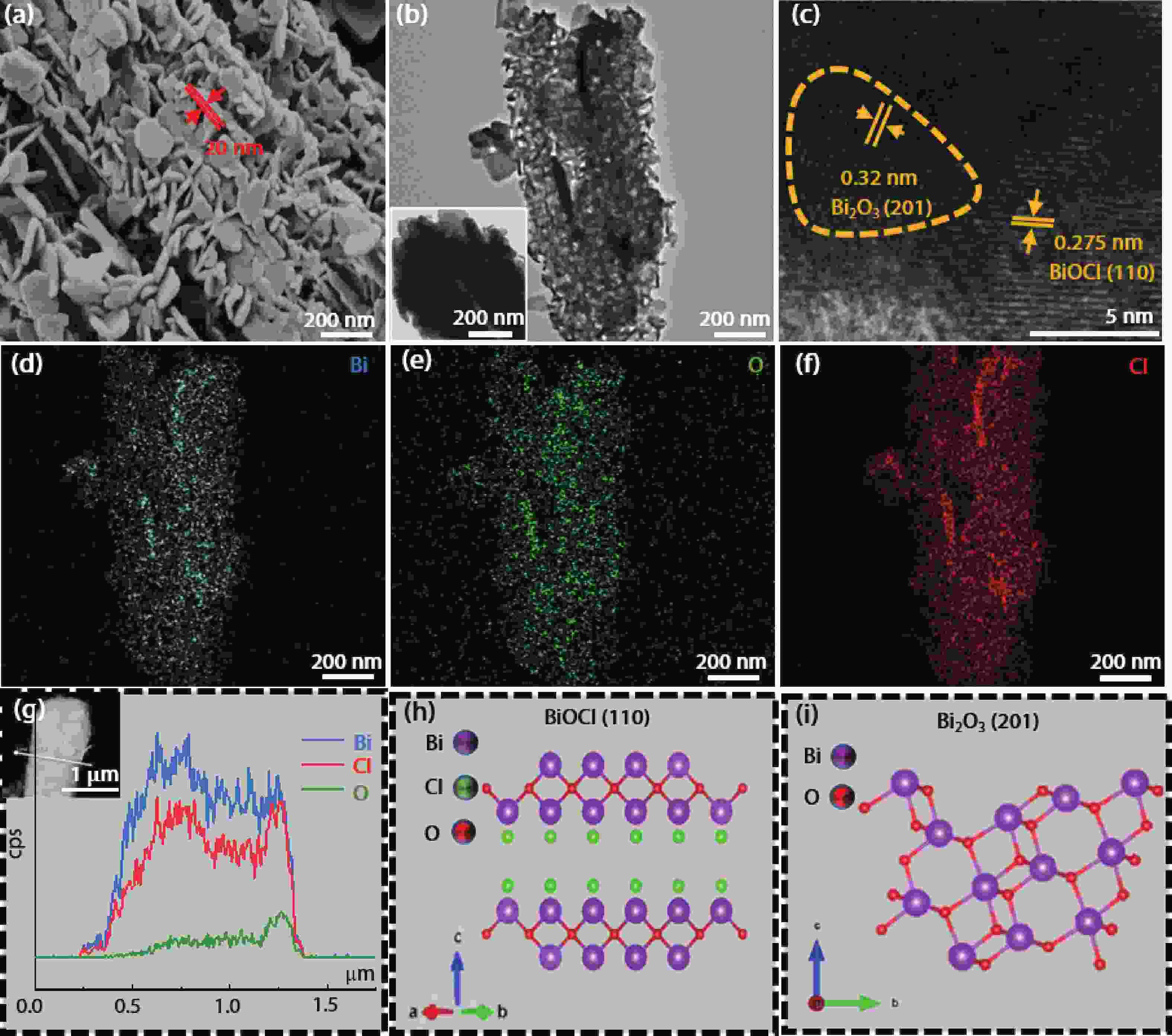 One-photo excitation pathway in 2D in-plane heterostructures for ...