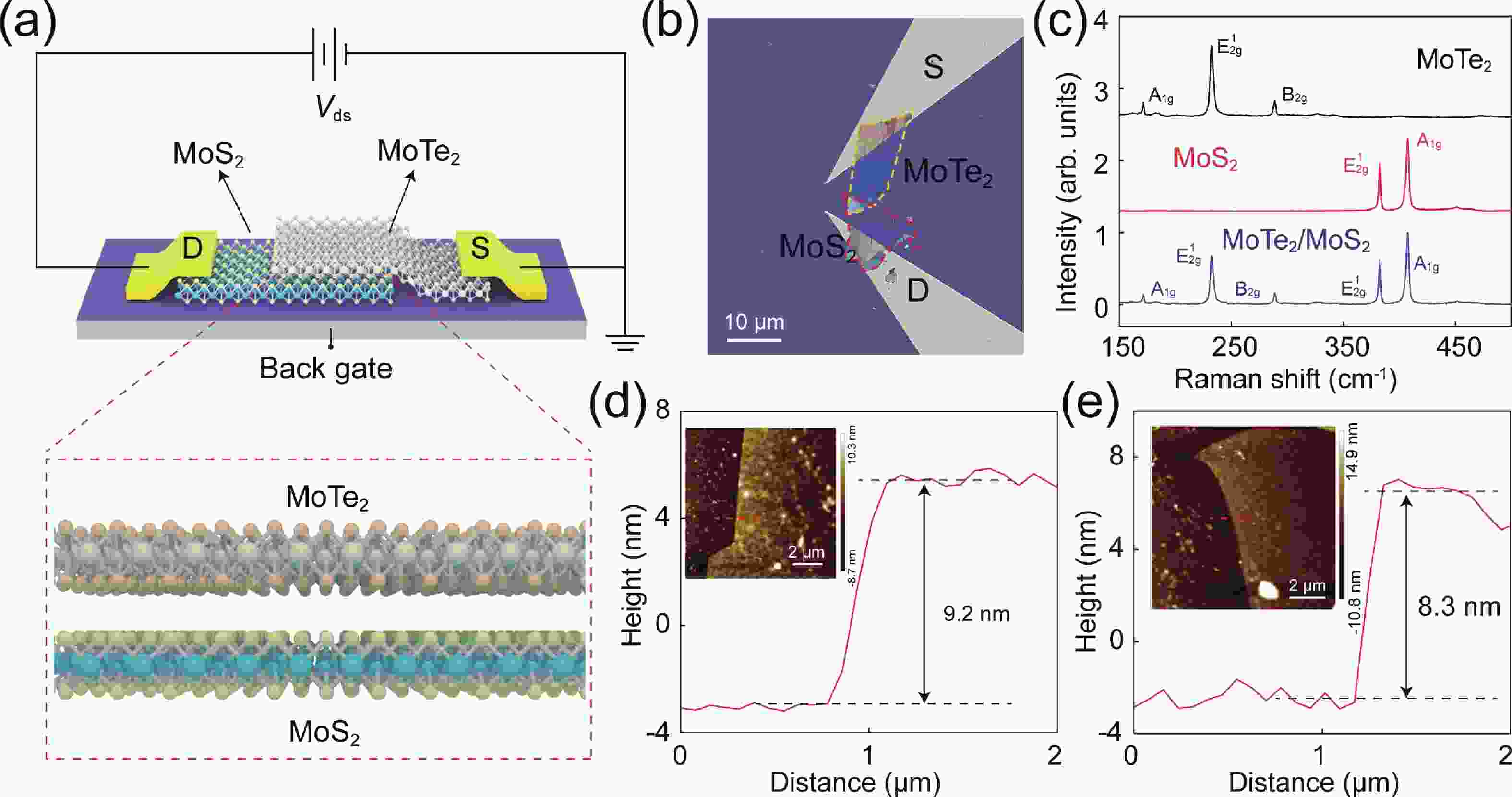 Programmable mixed-kernel based on MoTe 2 /MoS 2 heterojunction for ...